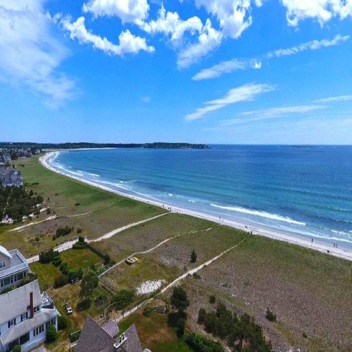 Scene – Pine Point Bliss