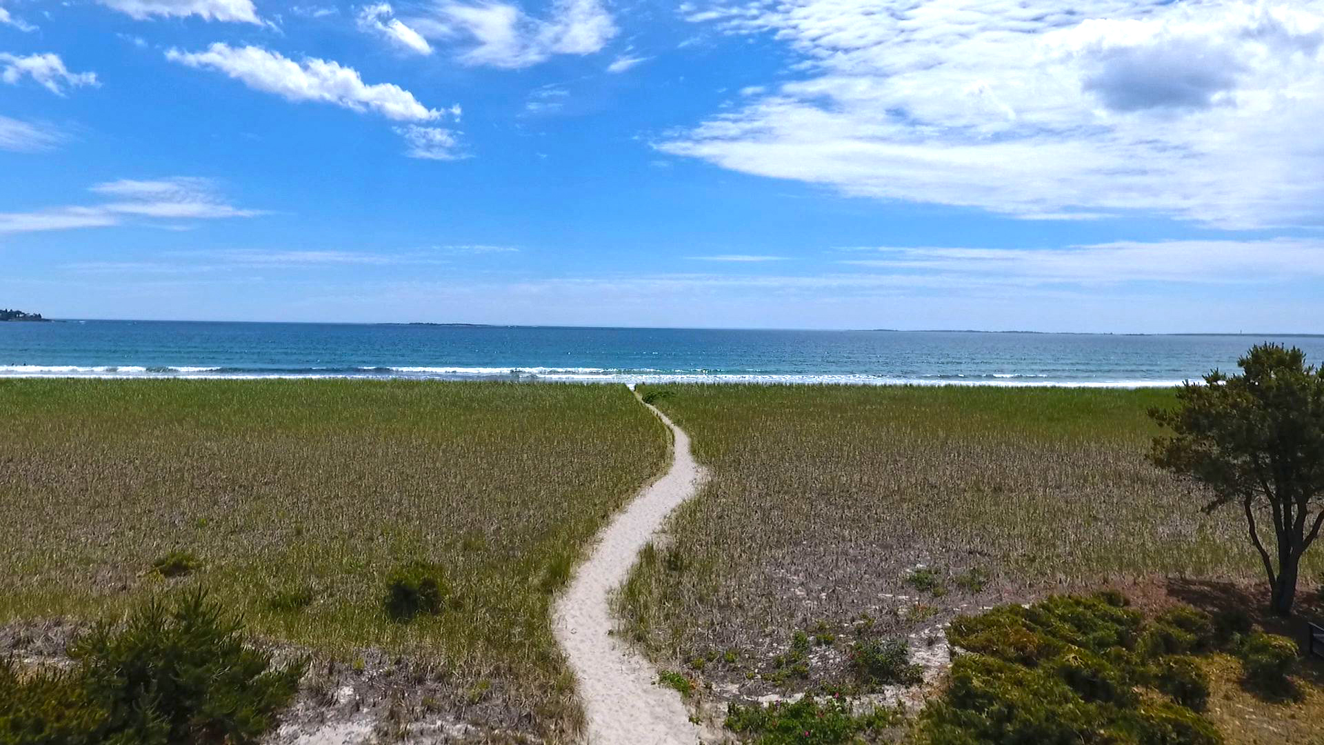 Ocean 2 – Pine Point Bliss